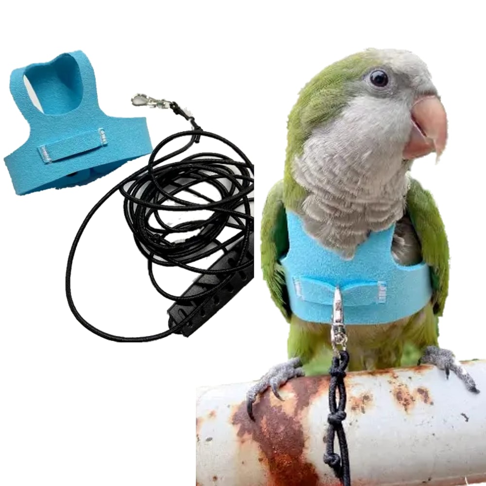 Bird Flight Harness Vest, Parrot Flight Suit with Leash for Parakeets ...